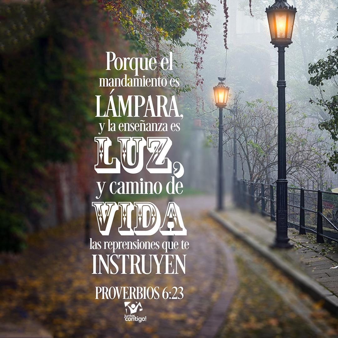 Piensa antes de actuar - Proverbios 6 - Reavivados por su Palabra ...