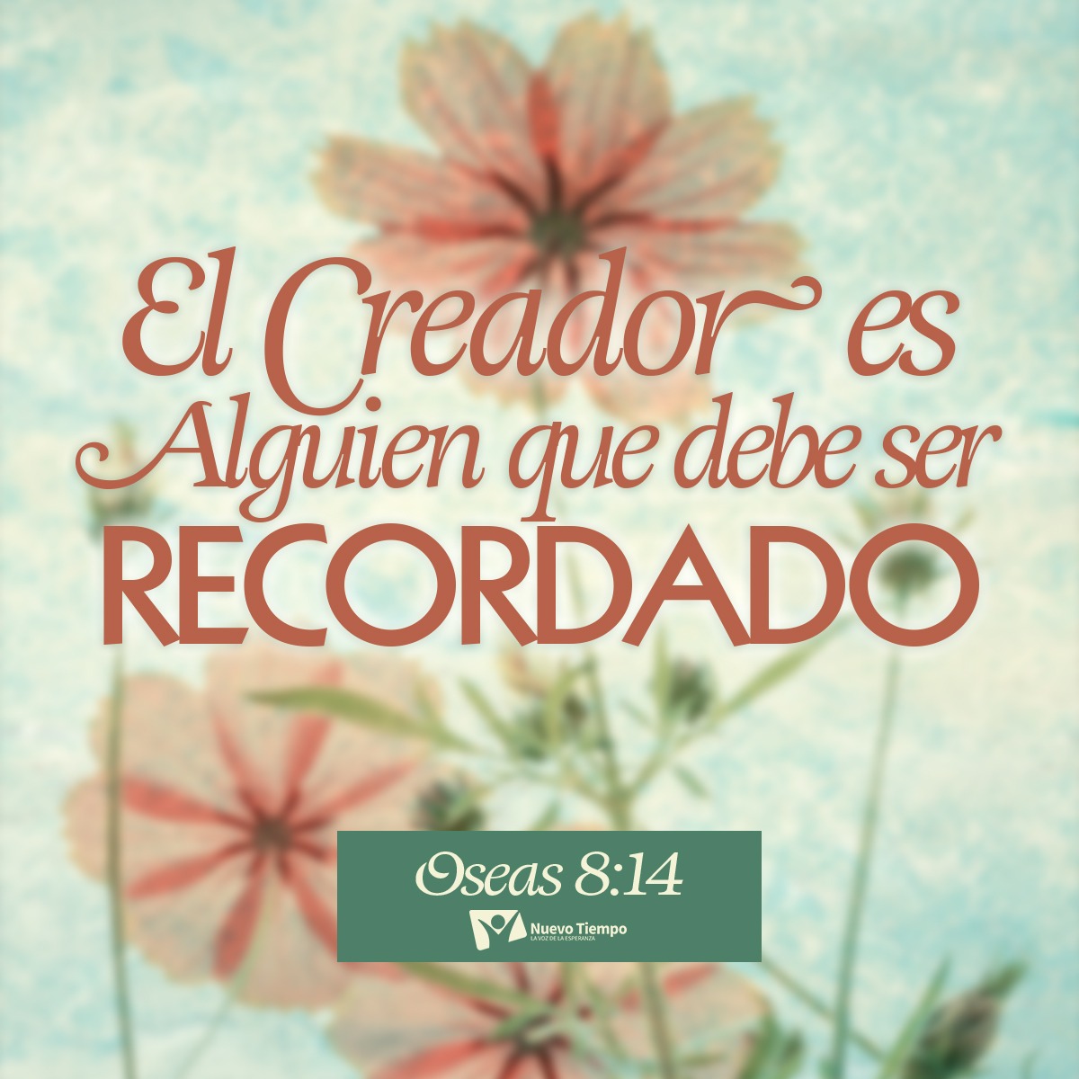 Reprensión de la idolatría de Israel - Oseas 8|Reavivados por su ...