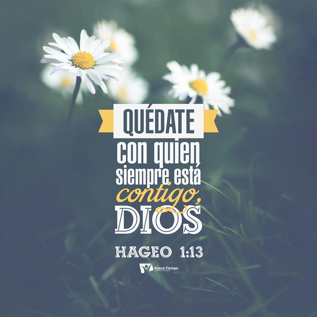 Exhortación a edificar el templo - Hageo 1 | Reavivados por su Palabra ...