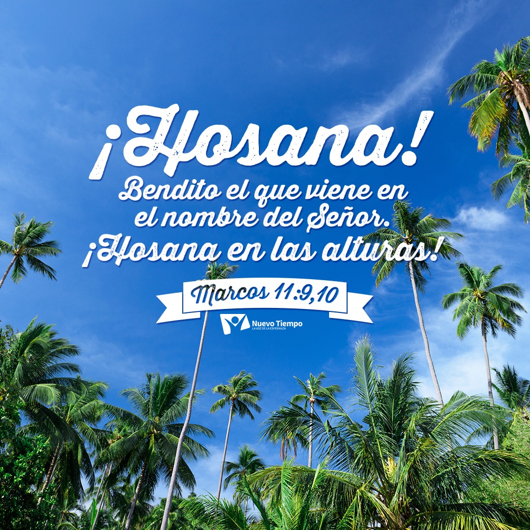 La entrada triunfal en Jerusalén - Marcos 11 | Reavivados por su ...