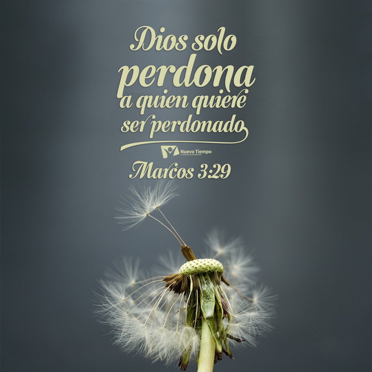 El hombre de la mano seca - Marcos 3 | Reavivados por su Palabra ...