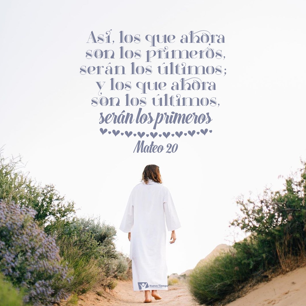 Los obreros de la viña - Mateo 20 | Reavivados por su Palabra - Nuevo ...