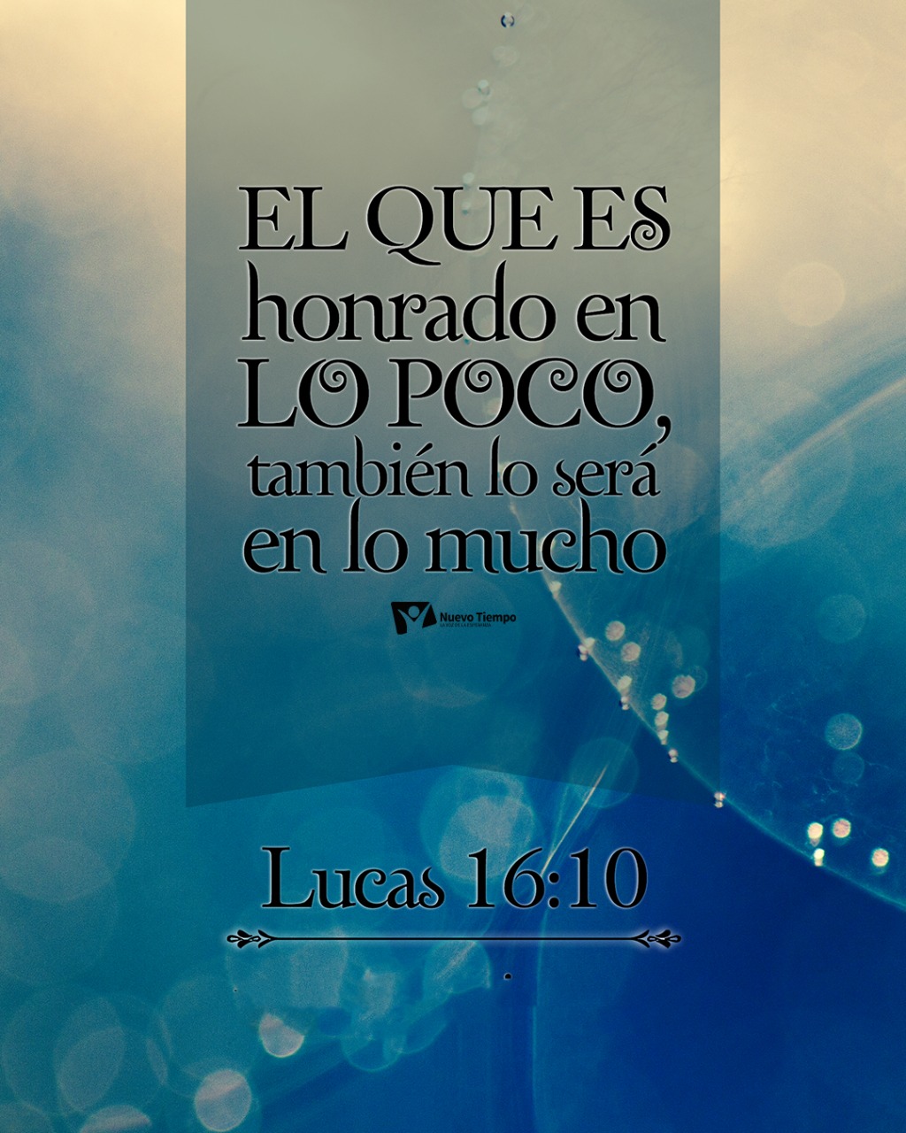 Parábola del mayordomo infiel - Lucas 16 | Reavivados por su Palabra ...