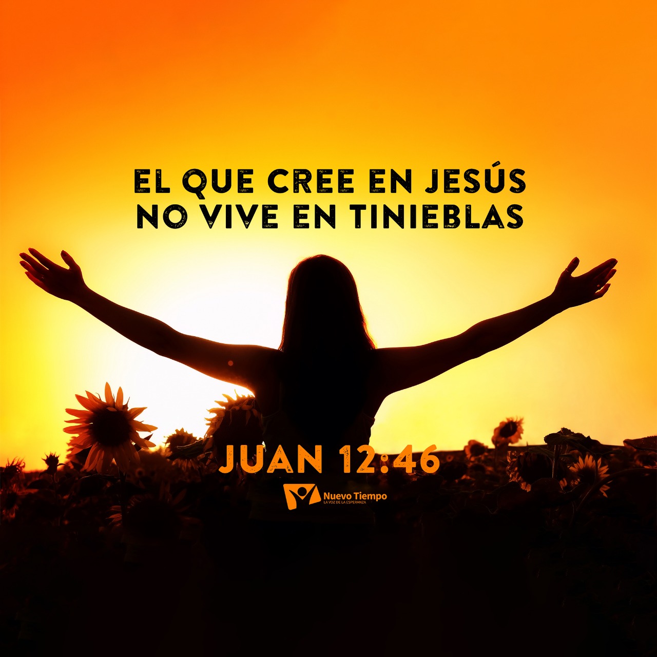 Jes s Es Ungido En Betania Juan 12 Reavivados Por Su Palabra Jes s Es Ungido En Betania Juan 12 Reavivados Por Su Palabra